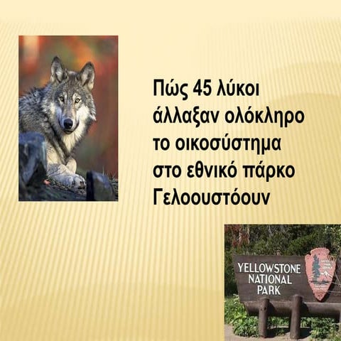 Πώς οι λύκοι αλλάζουν τα ποτάμια | PPTX