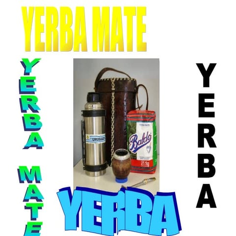 La yerba mate | PDF