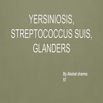 YERSINIOSIS, STREPTOCOCCUS SUIS, GLANDERS.pptx