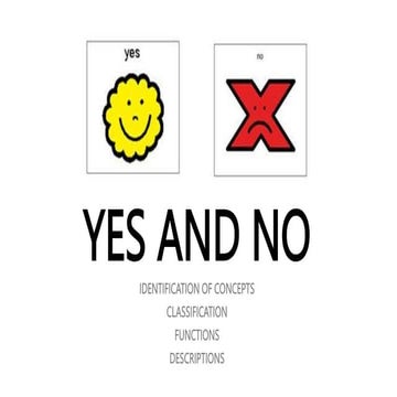 YES AND NO. Answering yes or no questions | PPTX | Reptiles | Pets