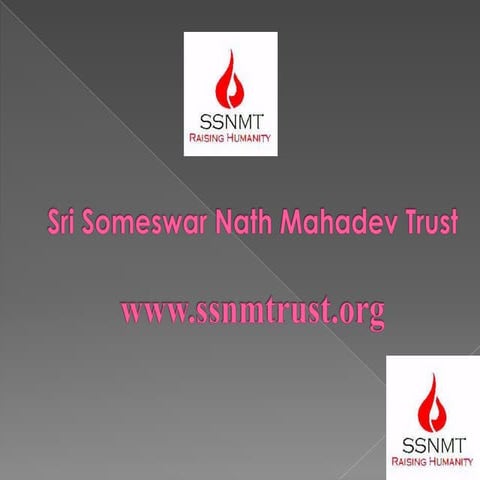 YEW of SSNM Trust | PPSX