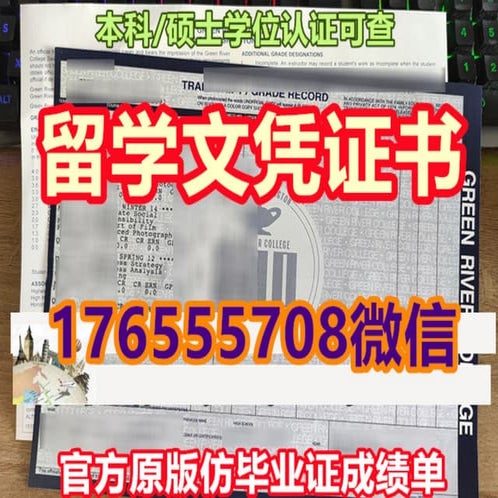 TUD毕业证 | PDF