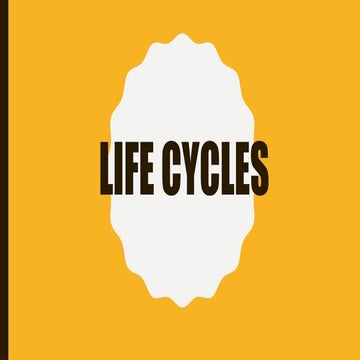 Life Cycle Lesson _ UTAH Lesson Plans MOD.pptx