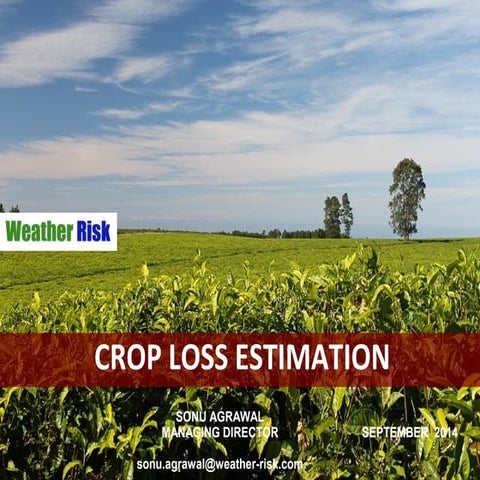 Yield loss estimation v2 | PPT