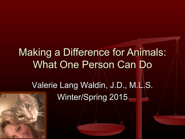 Virginia Chipurnoi - President of a Renowned Animal Welfare ...
