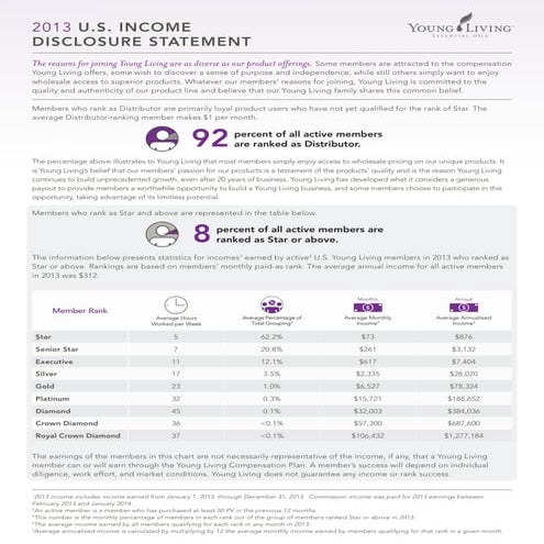 Income Disclosure Sheet | PDF