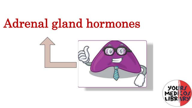 Seminario biologia molecular Estefanía Tabares | PDF