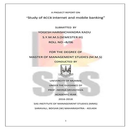 BCCB summer Internship project | DOCX