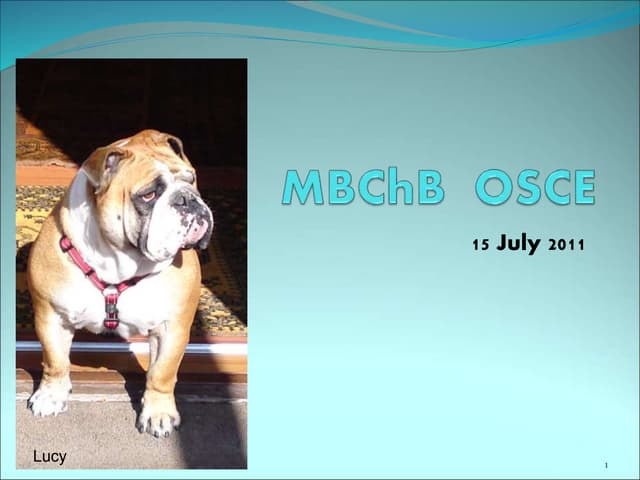MBChB_Slides_2011-July.ppt MBChB_Slides_2011-July.ppt