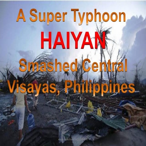 The Scale of Destruction of Typhoon "Haiyan" in Central Visayas ...