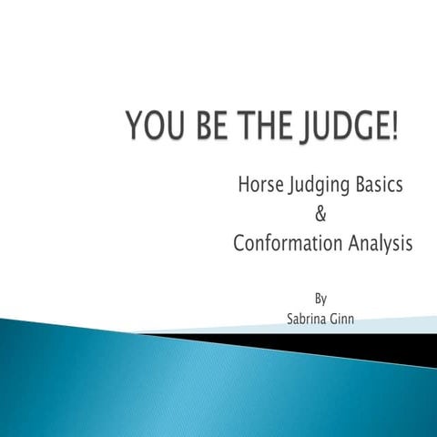 You be the judge! advanced | PPTX