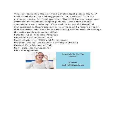 You just presented the software development plan to the CIO with all.docx