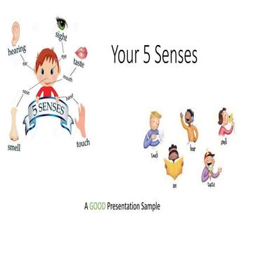 Your 5 senses good presentation | PPTX