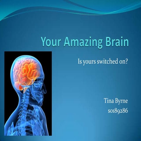 Your Amazing Brain | PPTX