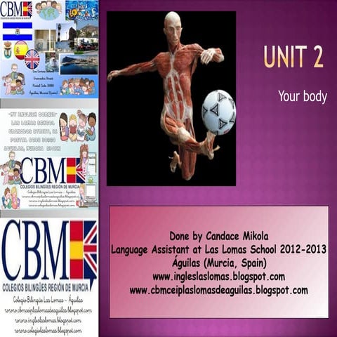 YOUR BODY - BONES, MUSCLES AND JOINTS | PPT | Death, Injury, or ...