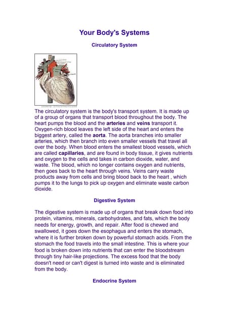 Organ systems of the body and their functions | PPT | Endocrine and ...