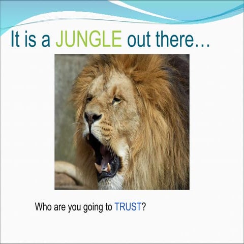 Your Kore Client Experience | PPT