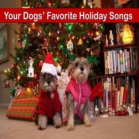 Your dogs' favourite holiday songs | PPT