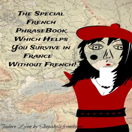 Your French Phrasebook | PDF