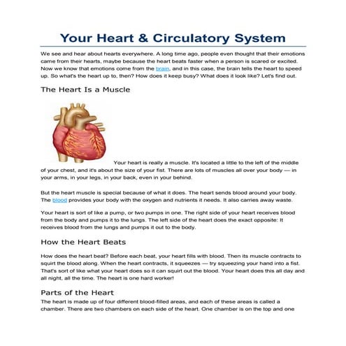 The Heart Science 7th class powerpoint presentation | PPTX