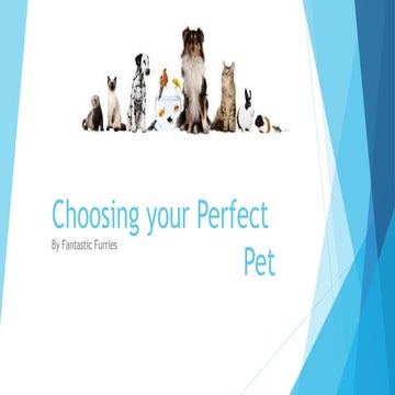 Choosing Your Perfect Pet | PPT