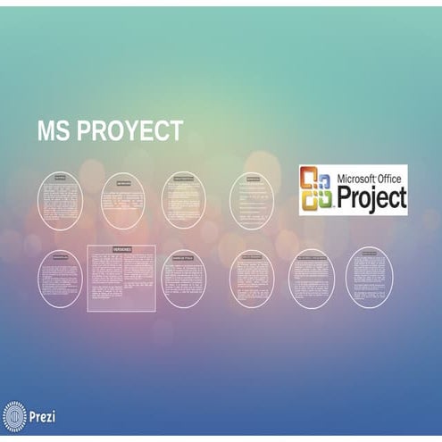 MS PROJECT | PDF
