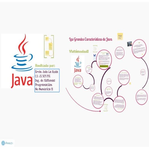 Características de Java. | PDF