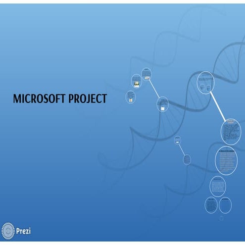 MS project | PDF