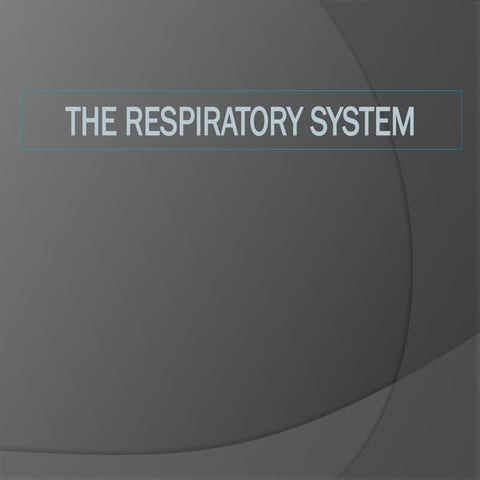 Your_Respiratory_System_Presentation.pptx