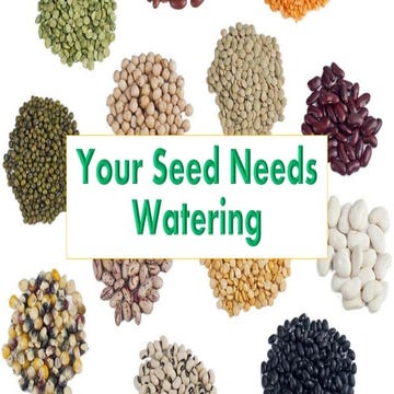 Your Seed Needs Watering | PPTX | Christianity | Religion & Spirituality