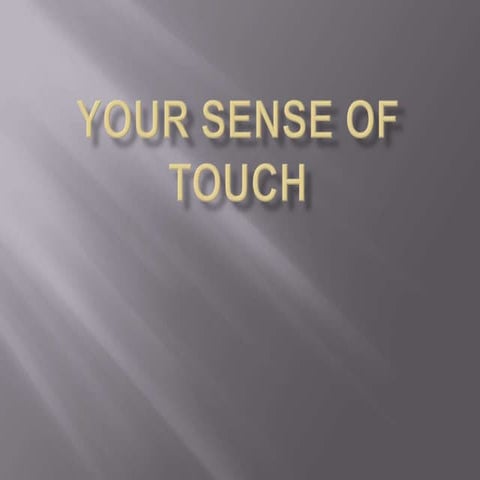 Your sense of touch | PPT