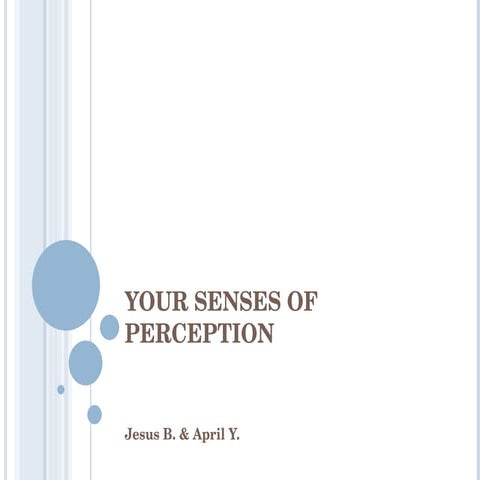 Section 2 Senses And Perception | PPT