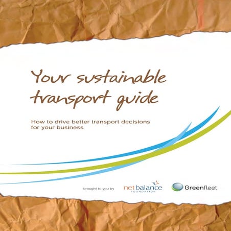 Sustainable Transport Guide | PDF