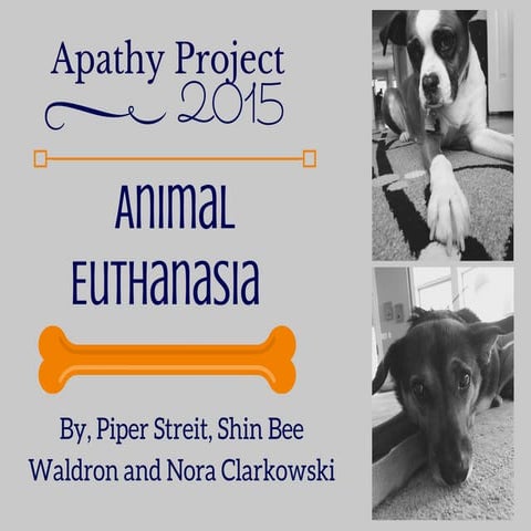 Apathy Presentation | PDF