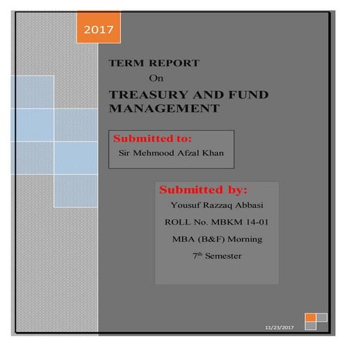 Treasury and fund management final report | DOCX
