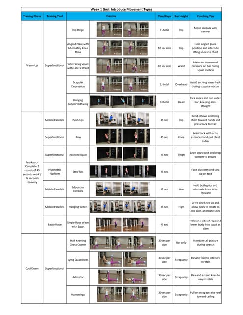 Queenax® of the Week: 4 Multi-Planar Core Workouts | PDF | Physical ...