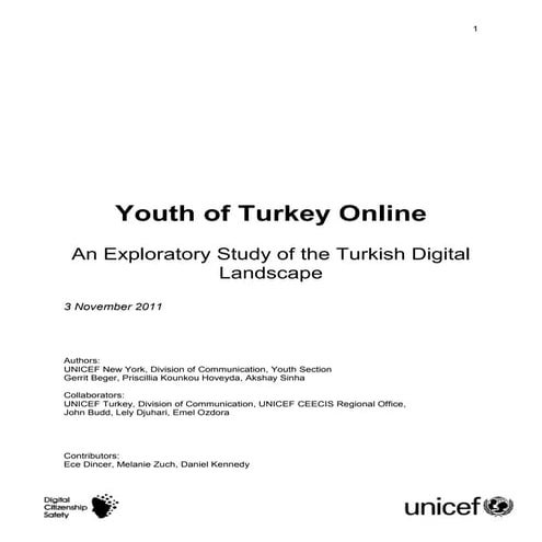Youth of Turkey Online | PDF | Social Networking | Internet
