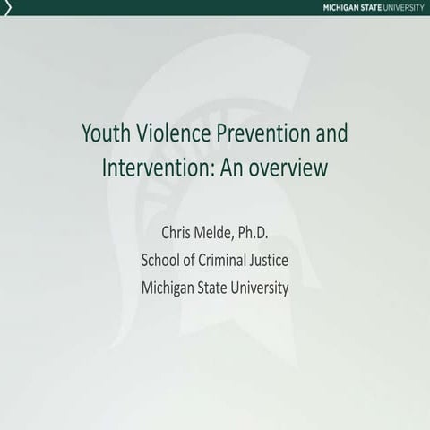 Youth Violence Prevention and Intervention: An overview | PPTX