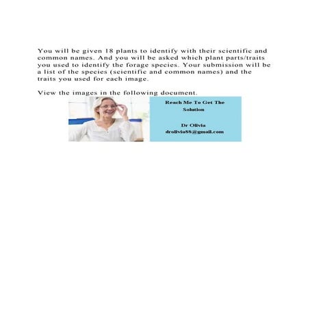 You will be given 18 plants to identify with their scientific an.docx ...