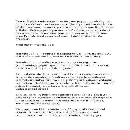 Appendix BOrganization ChartRoss RomanOwner.docx