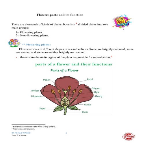 flowers parts and their functions.pdf