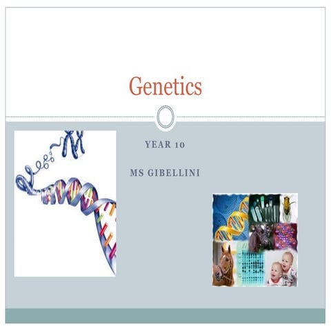 Genetics and Evolution Year 10 | PPTX