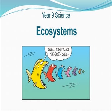 Year9 Science Ecosystems with an Aquatic feel | PPTX