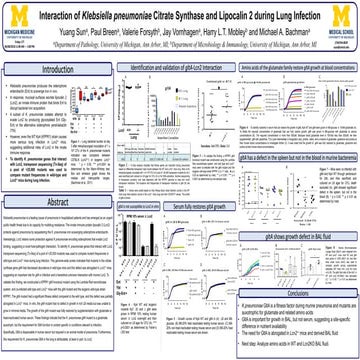Molecular Bio Poster 12_9 SuperFinal | PPTX