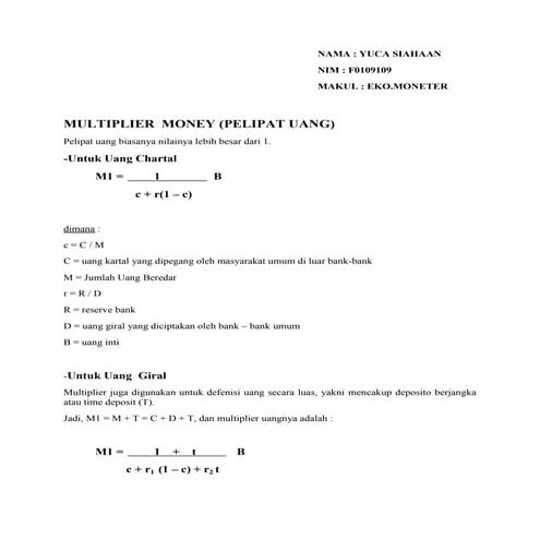 Multiplier Money | DOCX