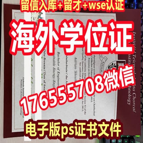 USF毕业证 | PPT