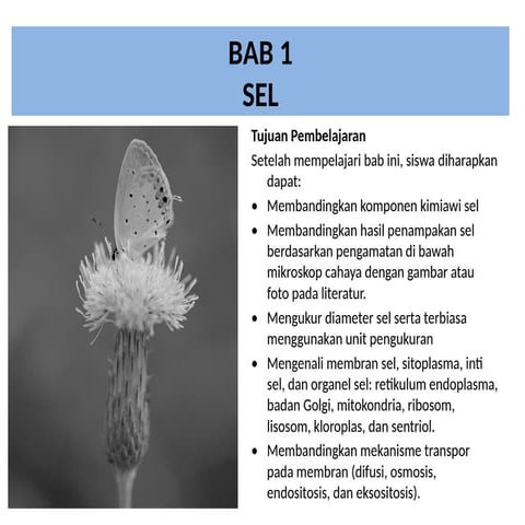 Bab-1-Sel. Untuk kelas 11 SMA semester pertama | PPT | Free Download