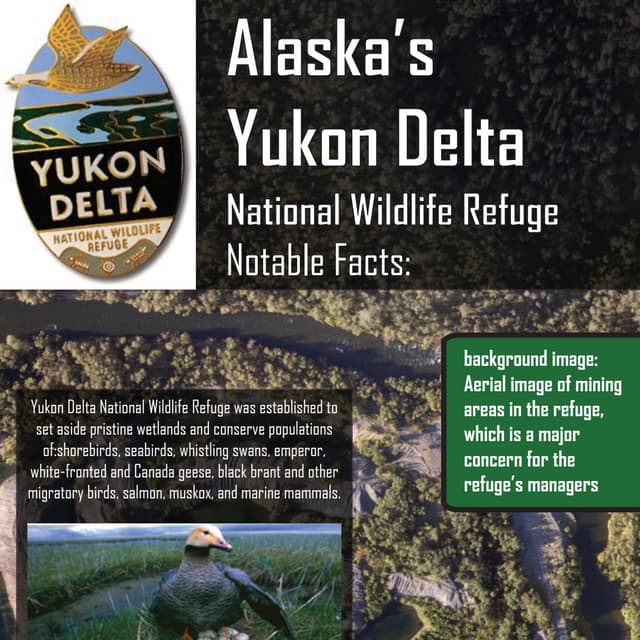 Yukon Delta Refuge Infographic | PDF