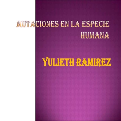 Yulitobios presentations