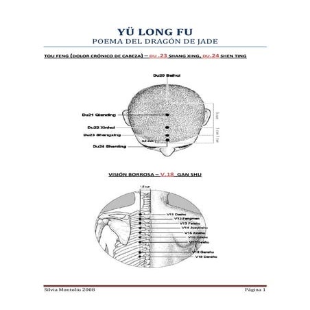 Yu long fu ilustrado | PDF